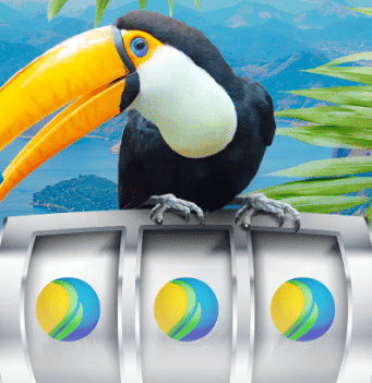 Spin Rio Casino Review 2025 | Bonus Codes & Games